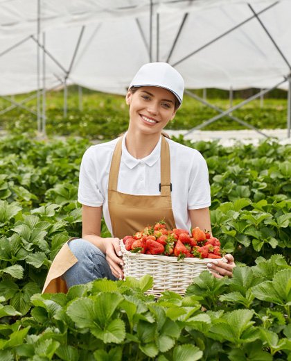 About Us – Acefreshfoods